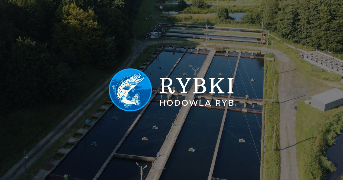 Hodowla pstrąga tęczowego k. Lęborka | Hodowla Ryb J. Łempio